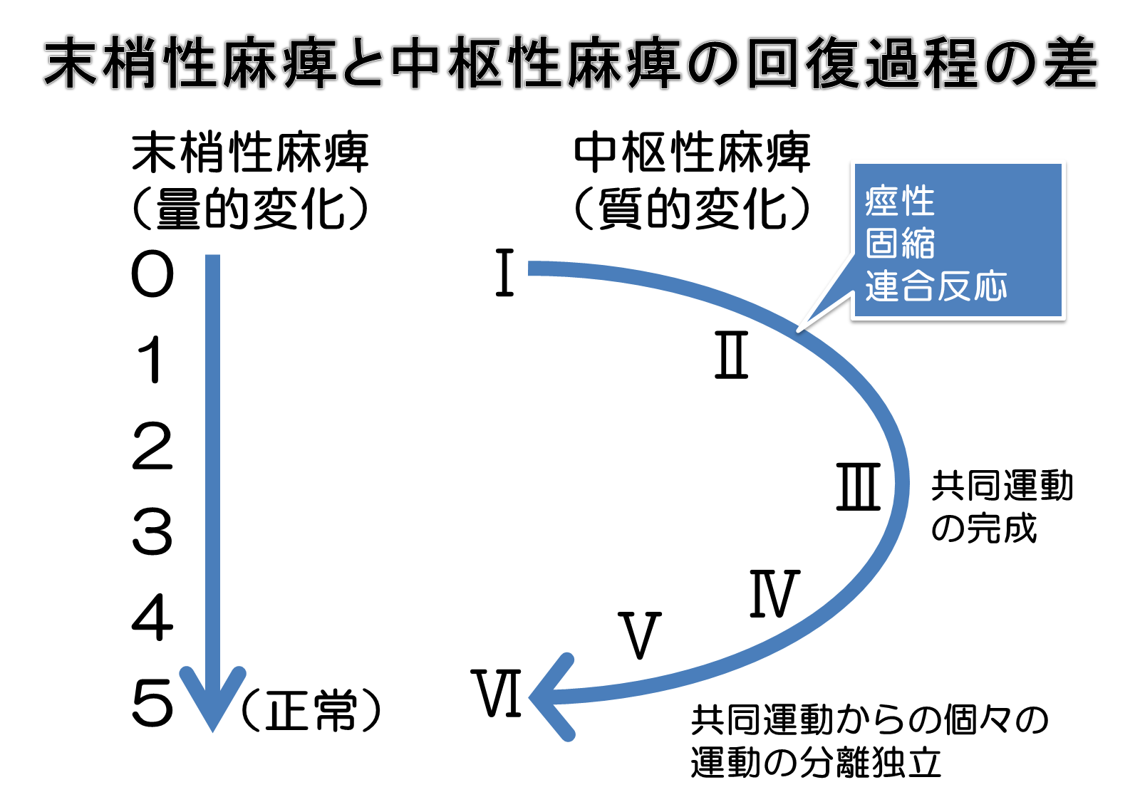 運動麻痺回復のステージ理論とは?運動麻痺回復の脳内メカニズムを徹底解説! リハアイデア